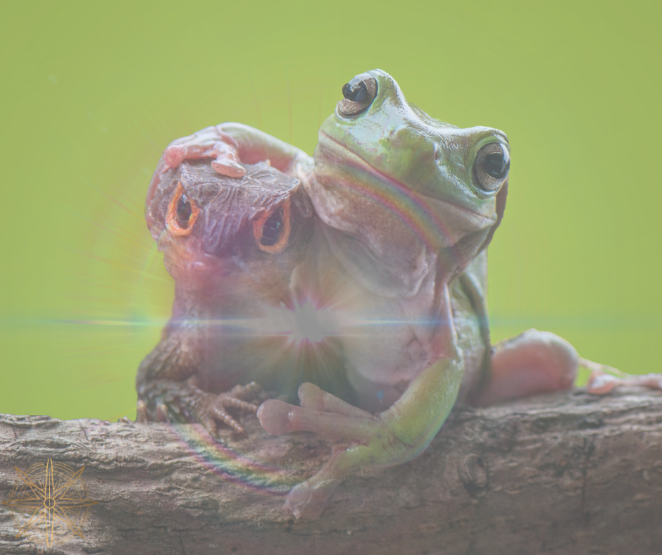 The power of Connection